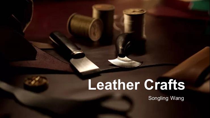 Individual Presentations DMIT1001 (OE04) Songling Wang