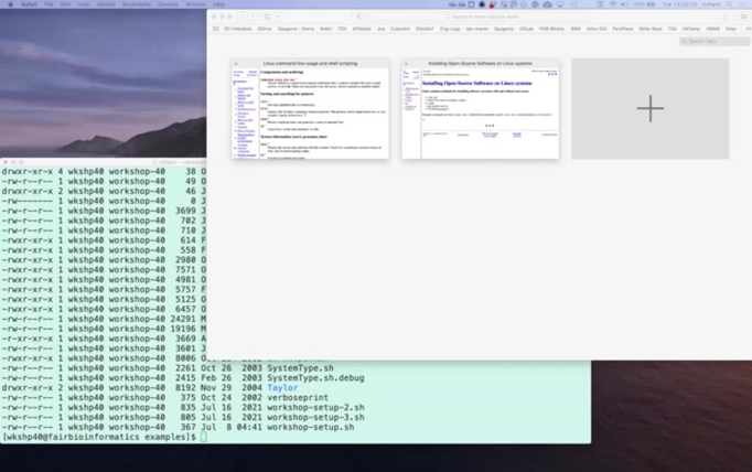 Shell Variables, Wildcards, Logic and Loops