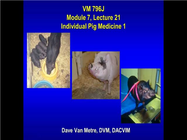 Lecture 21 Module 7 Indiv Pig Med Part 1
