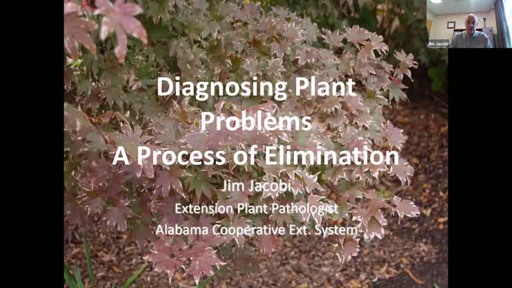 Part-1 Helpline training - Garden CSI, It's a Process