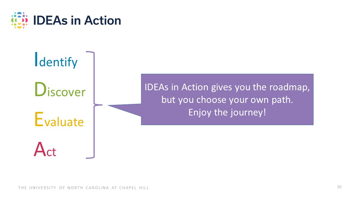 IDEAs in Action Overview for New Students
