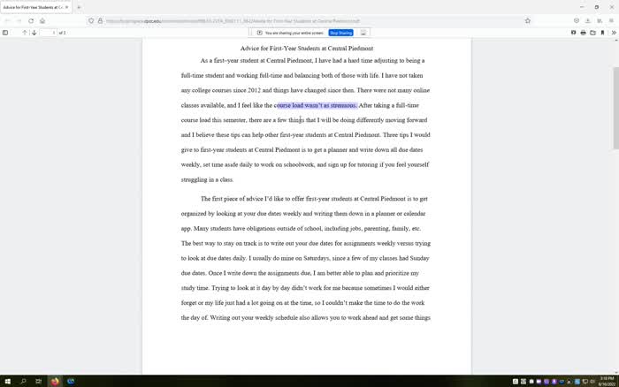 Sample Illustration Essay