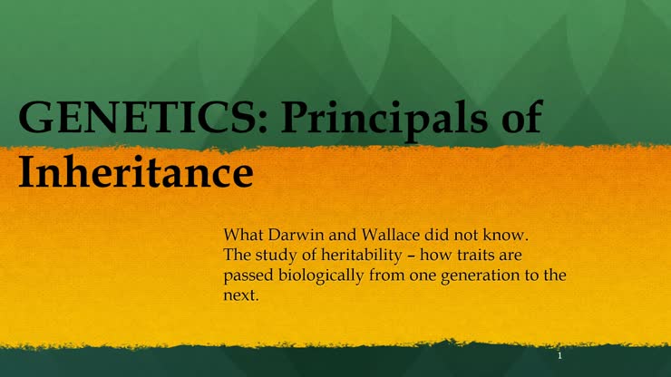 Lecture Intro Mendel's Genetic Inheritance