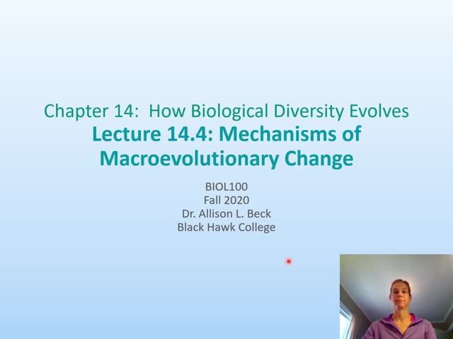 Lecture 14.4: Mechanisms of Macroevolution