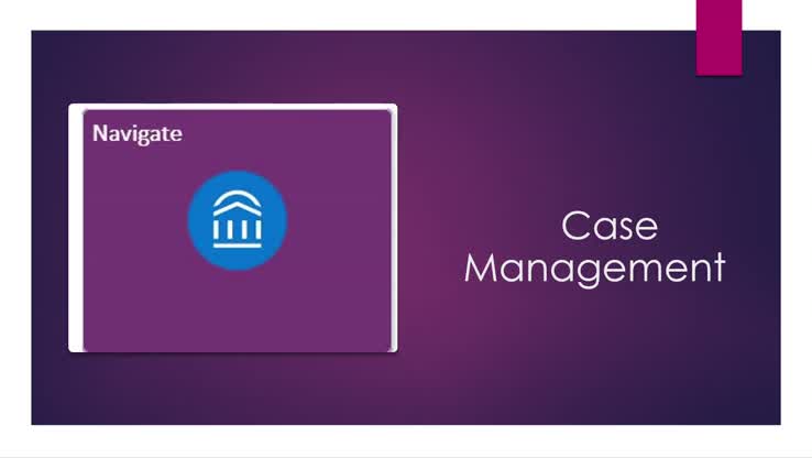 Understanding and Managing Cases