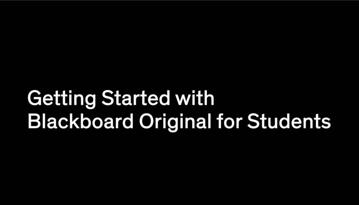 Getting Started with Blackboard Original for Students