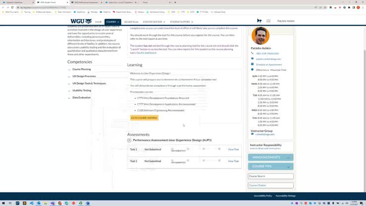 C856 Task 1 Section E - Prototype