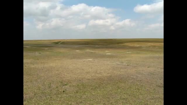 Biomes and Climate Change: Grasslands