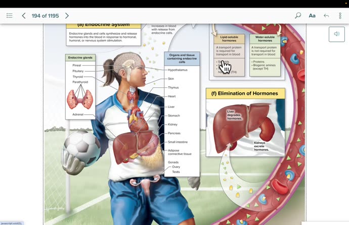 Endocrine Crash Course (4 min) edited with refined MCCC