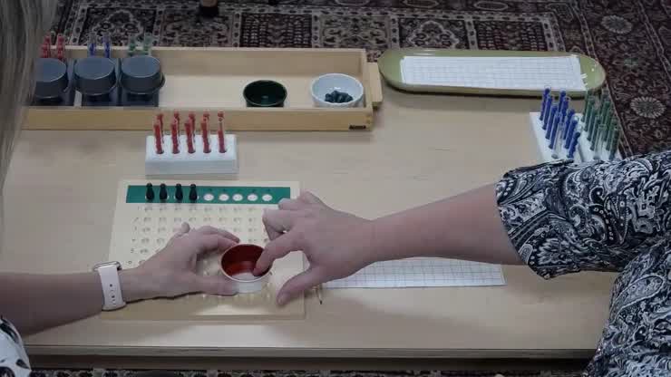 Division with Racks and Tubes (dynamic) (SIMS)