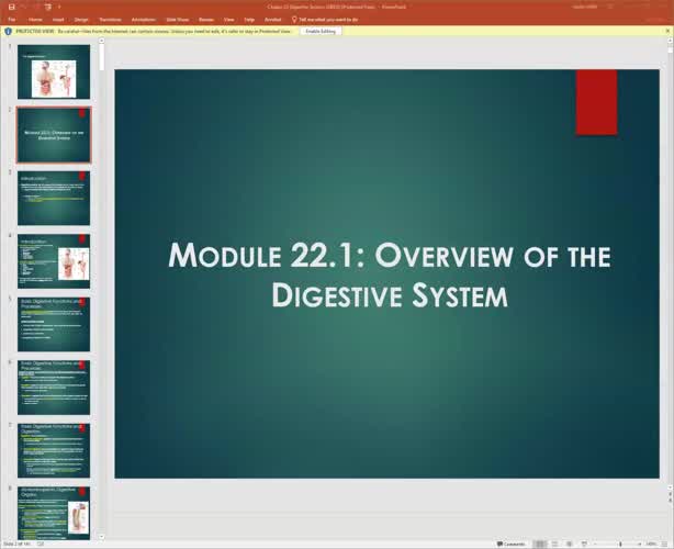 Chapter 22 Digestive System pt 1