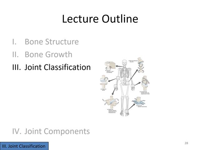 Week 7_U3L02C_Bones and Joints_Joint Classifications (11 min)