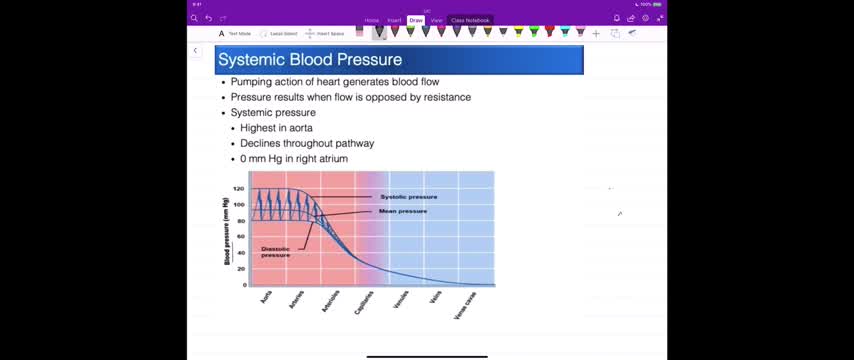 1 Blood Pressure - Introduction
