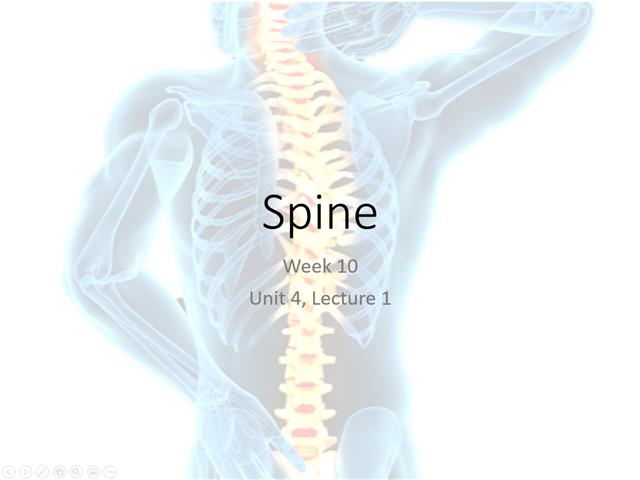 L12_Spine: Functions and Structure (27 min)