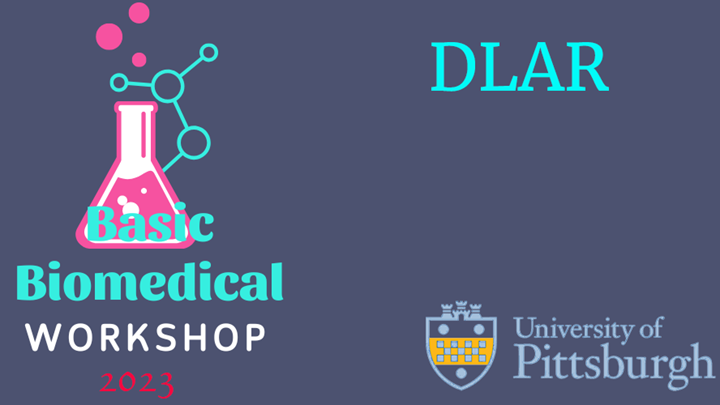2023 BASIC BIOMEDICAL WORKSHOP – DLAR
