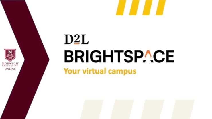 Brightspace Orientation Student