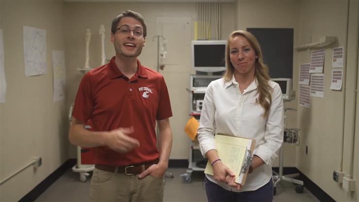 Halsted's Principles