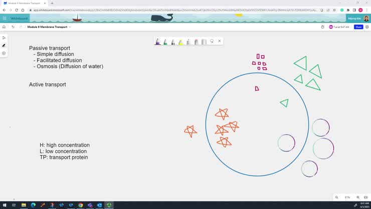 Module 9 Membrane Transport