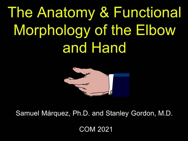 Elbow and Hand Session - Pt 4