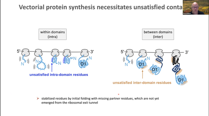 Bernd Bukau- 10/25/2023