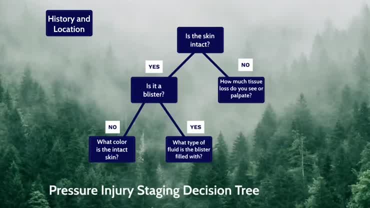 SHIELD Q1 Pressure Injury Staging Decision Tree