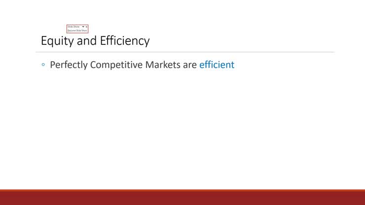 Video 7: Equity vs. Efficiency