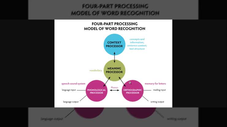 Four-Part Processing Model
