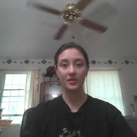 Engl395 ePortfolio Video