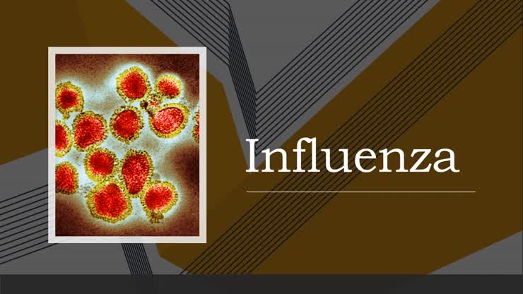 Influenza