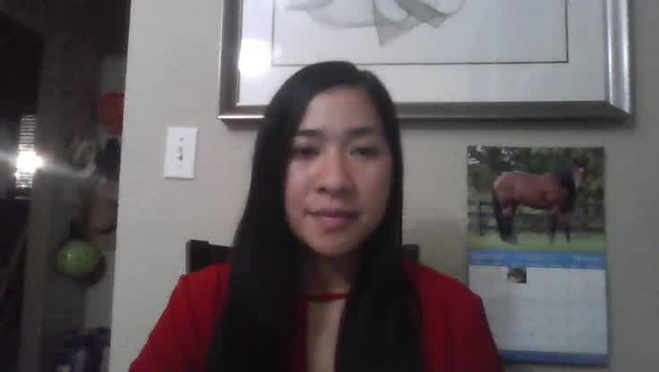 HUynh_T_CHP310_ Introduction