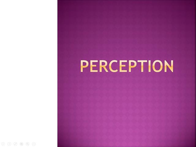 Perception Lecture Part 1