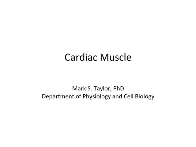 TAYLOR Cardiac Muscle CVR SPR 2023