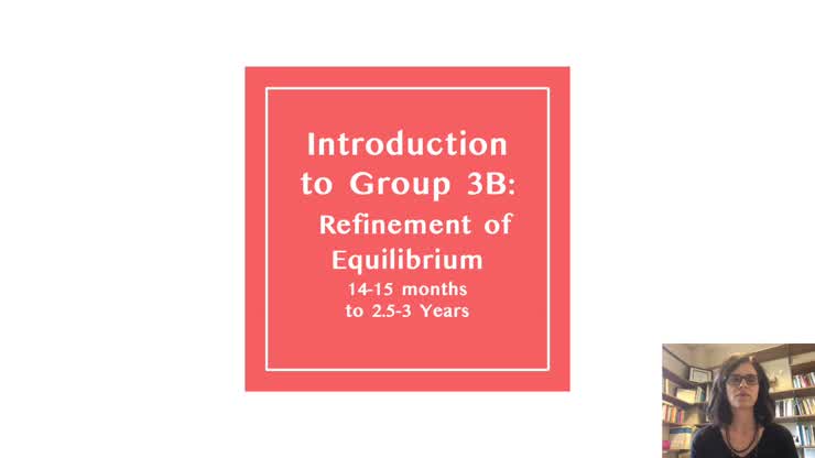 Introduction to Group 3B