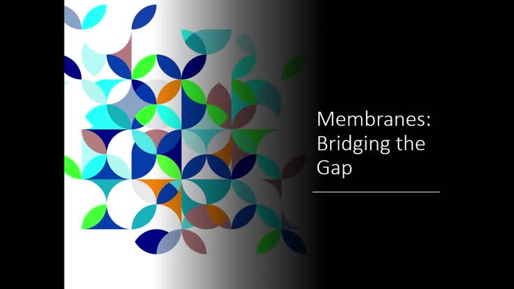 Membranes: Bridging the Gap