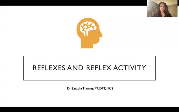 Reflexes and Reflex Activity Presentation