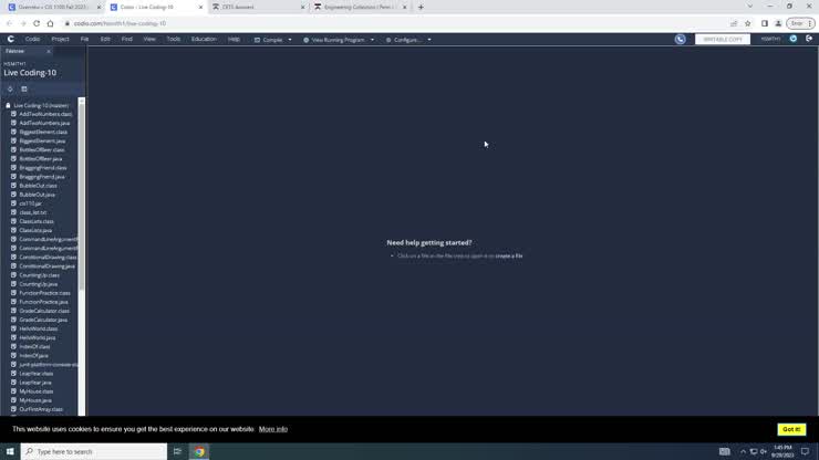 CIS 1100-002 202330 Introduction To Computer Programming on 9/29/2023 (Fri)