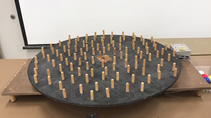 8B60.10 - Random Walk - Different Size Particles