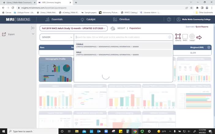 Simmons Insight Quick Report