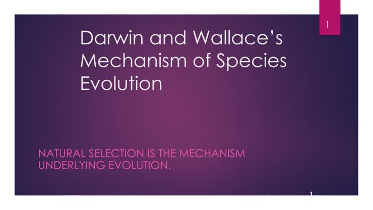 Darwin and Wallace’s Mechanism of Species Evolution