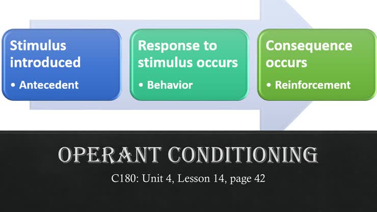 C180 Lesson 14 Operant Conditioning