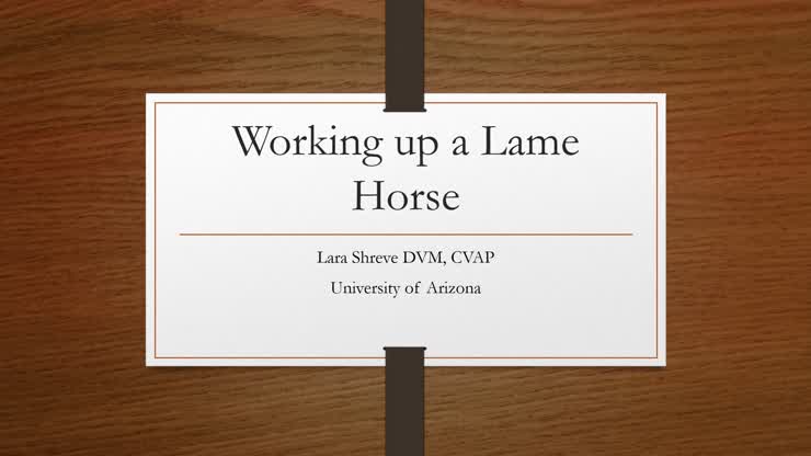 Working up a Lame Horse