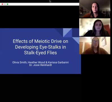 Effects of Meiotic Drive on Developing Eye-Stalks in Stalk-Eyed Flies