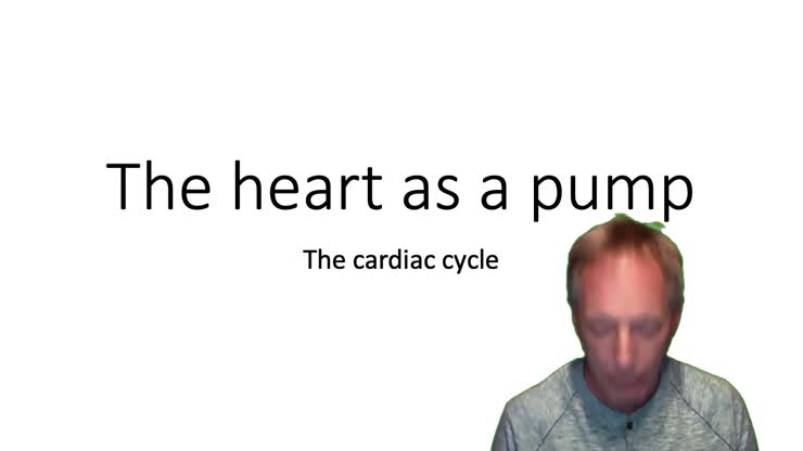 Heart as a Pump