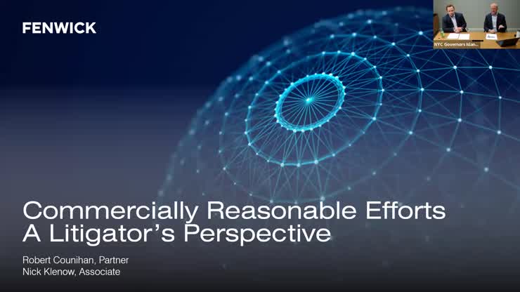 Commercially Reasonable Efforts in IP Agreements: A Litigator’s ...