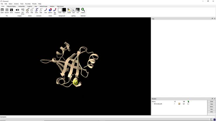 ChimeraX Representation and Structure Overlays