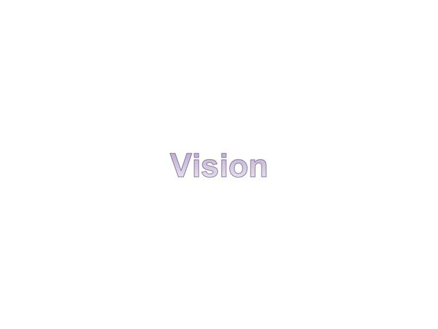 Chapter 5 - Video Lecture - Part 2 of 5 (Vision)