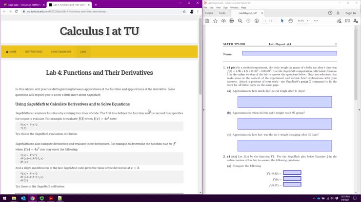 MATH 273 1212 Sage Lab 4 Introduction Video