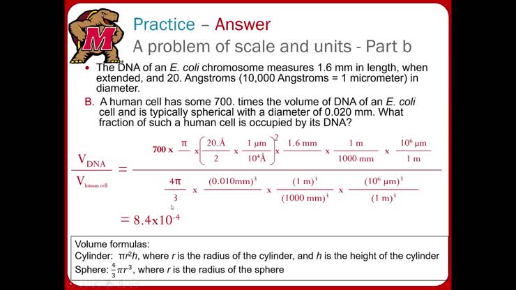 Scale of Life Part 2