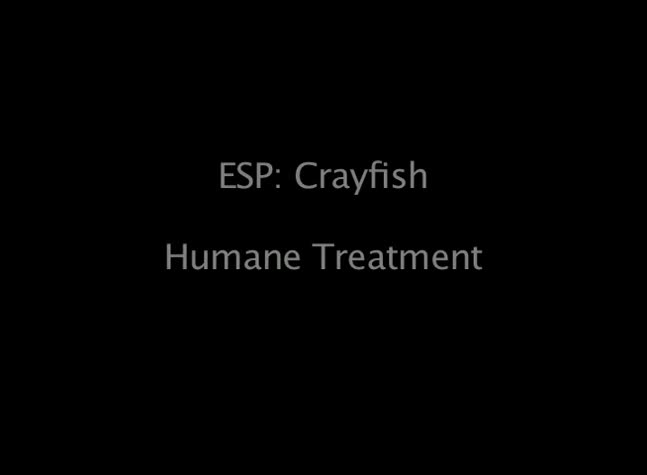 ESP Crayfish 1: Humane Treatment
