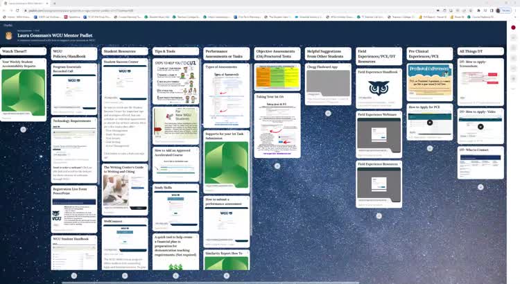 Mentor Padlet Resource